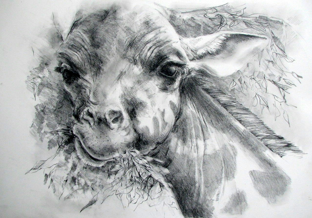 Watercolour Paintings and Graphite Sketches by Claire Bartlett – Artsy ...