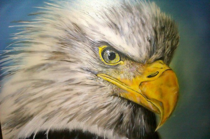Online Art Gallery Artsy Nature - artist Colin Chadwick, oil paintings ...